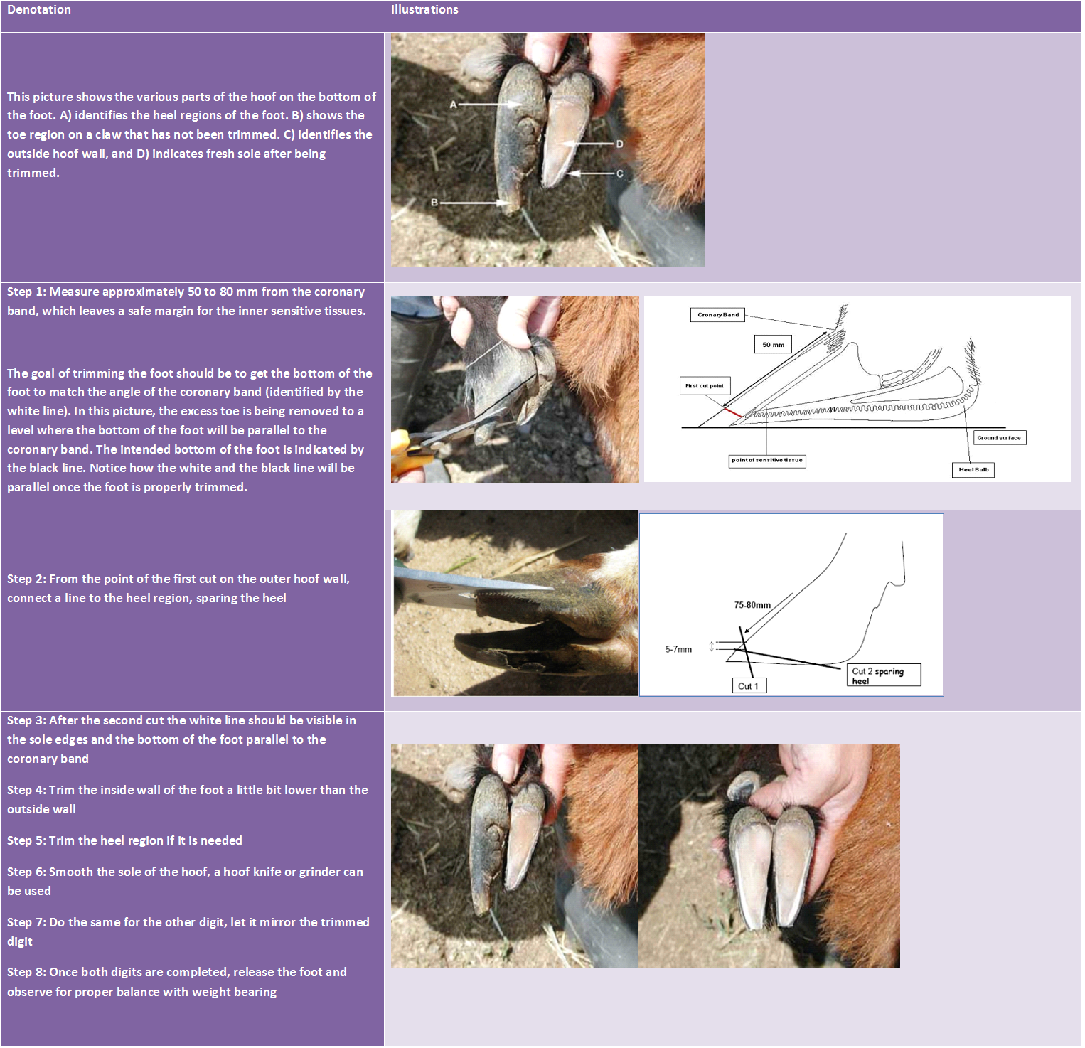 Lab 3 - Hoof trimming